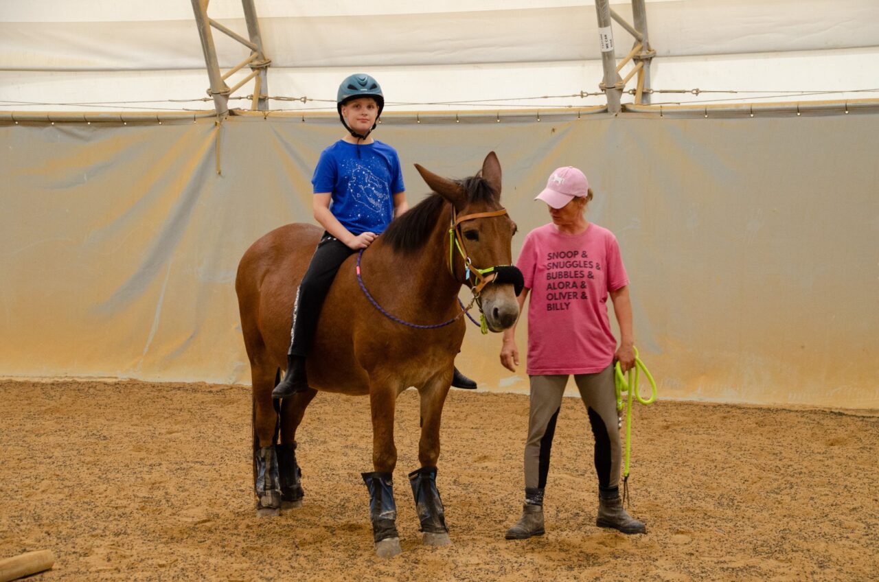 Stable Community Lessons | We Can Ride